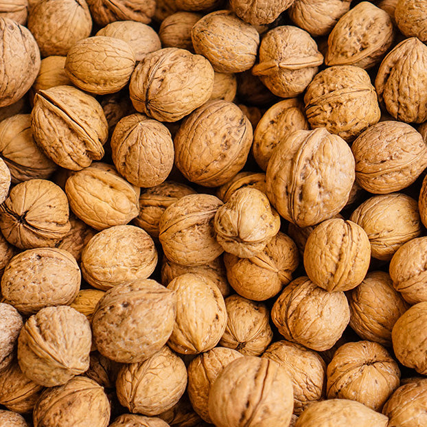 Central Otago Whole Walnuts | Freeway Orchard